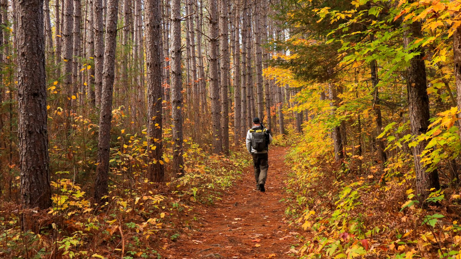 Itineraries - FallRoutes.ca